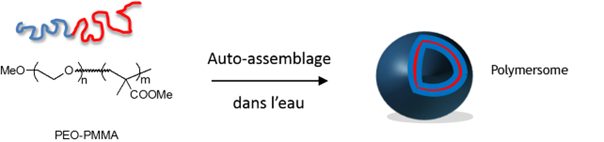 Uranyless aqueous | Fixative solution