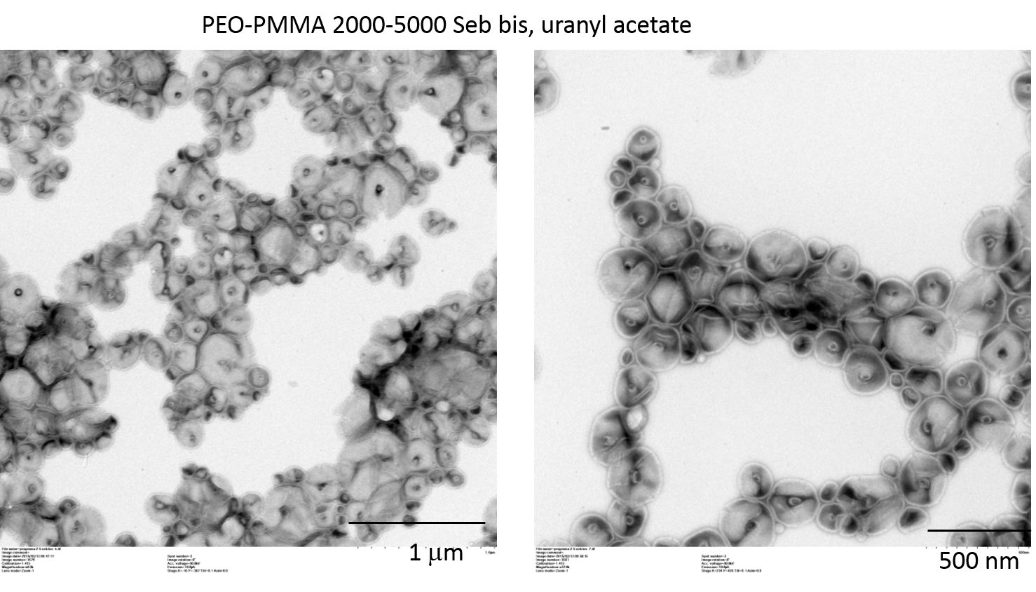 Uranyless aqueous | Fixative solution
