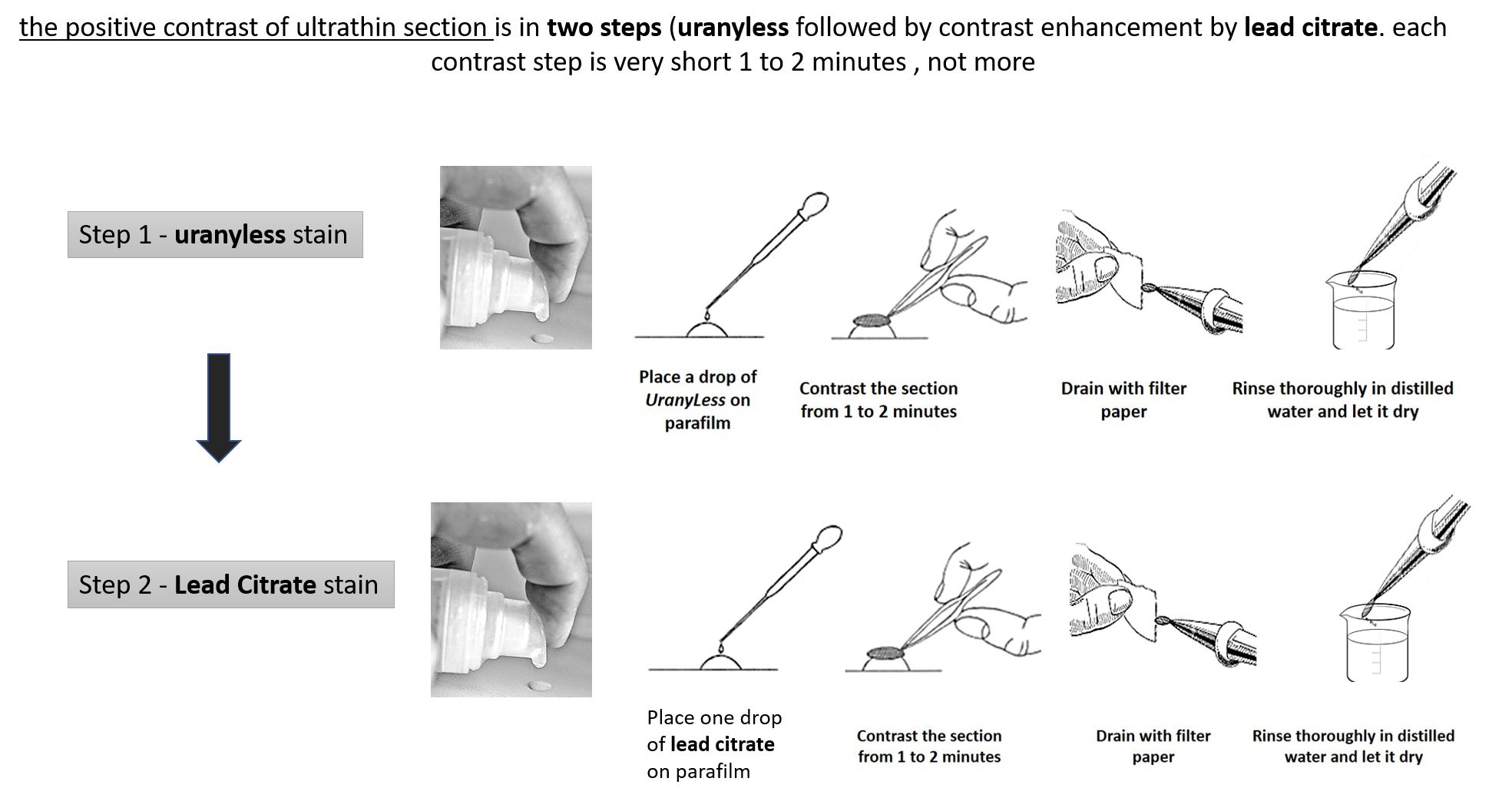 Lead Citrate | Uranyless